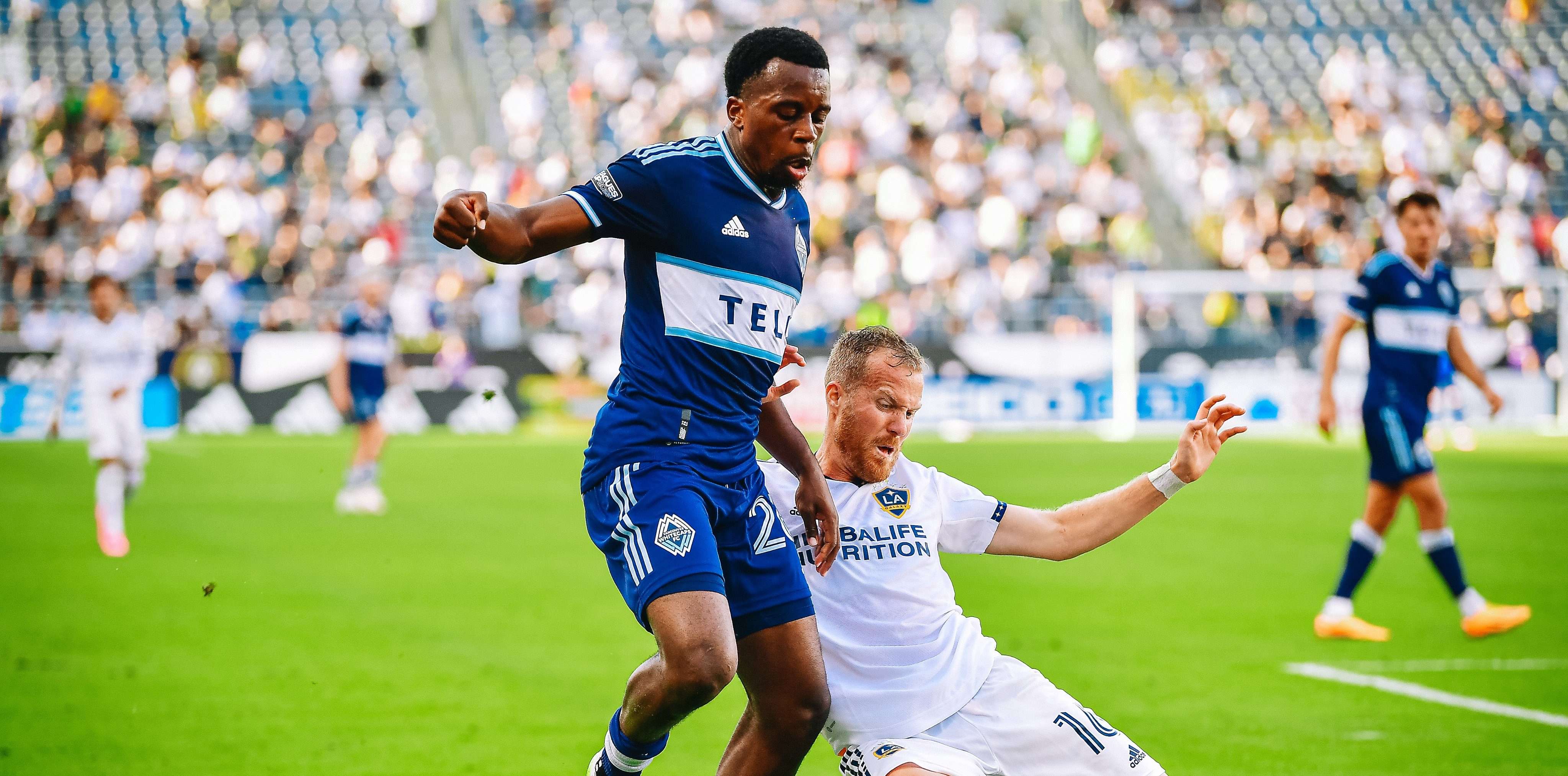 Report Card: They Don’t Ask How… | The Third Sub